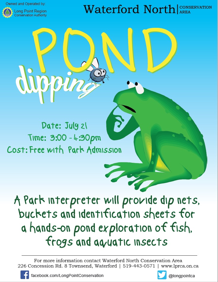 Pond Dipping | Y108